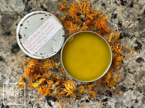 Calendula Cream Recipe: Overcome Dry Skin with This Easy Fix