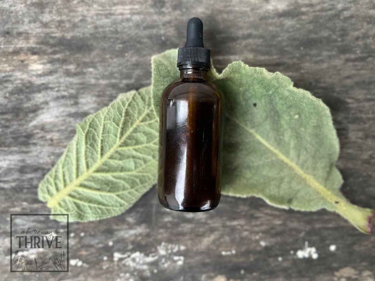 Mullein Glycerite Recipe: How To Use Mullein For Coughs & More
