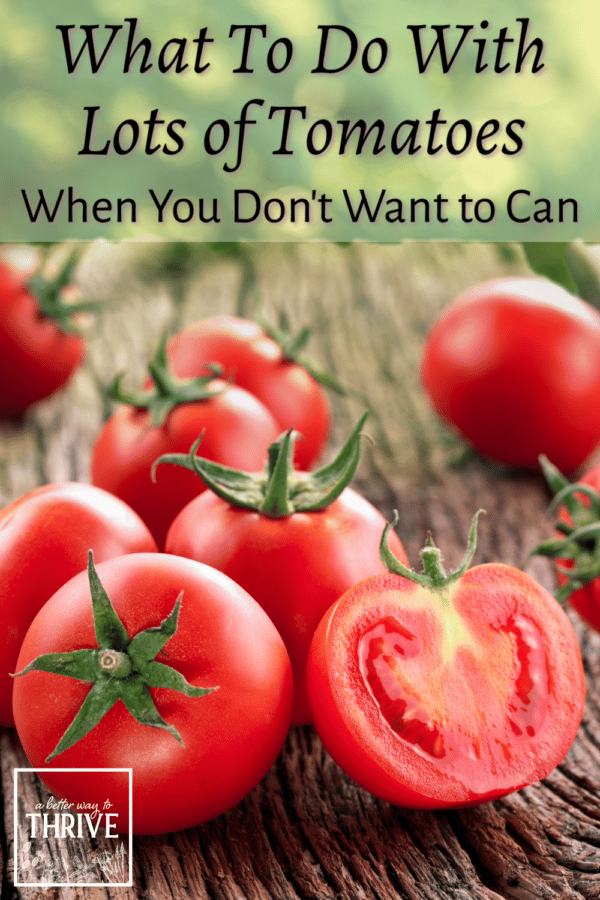 What to Do With Lots of Tomatoes When You Don't Want to Can