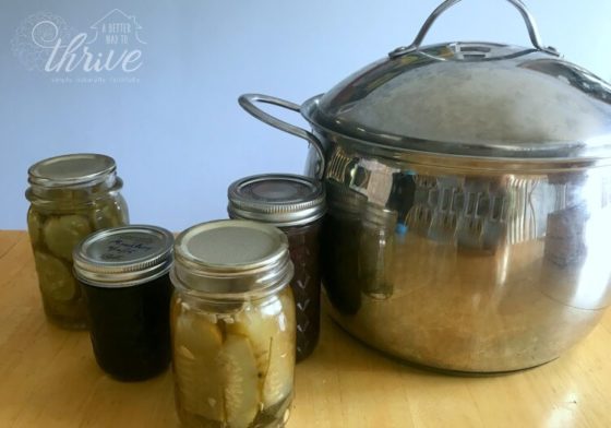 Using a Large Stock Pot for Canning | A Better Way to Thrive